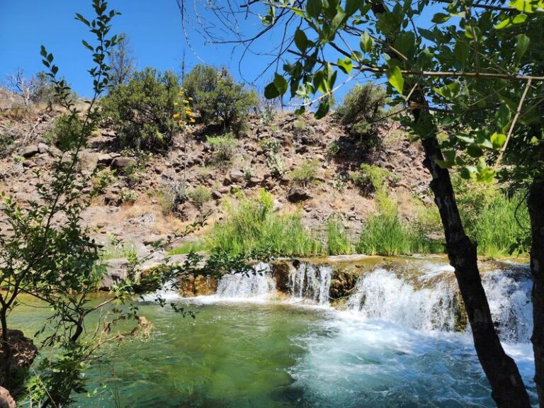The Hidden Desert Oasis In Arizona That Locals Secretly Love