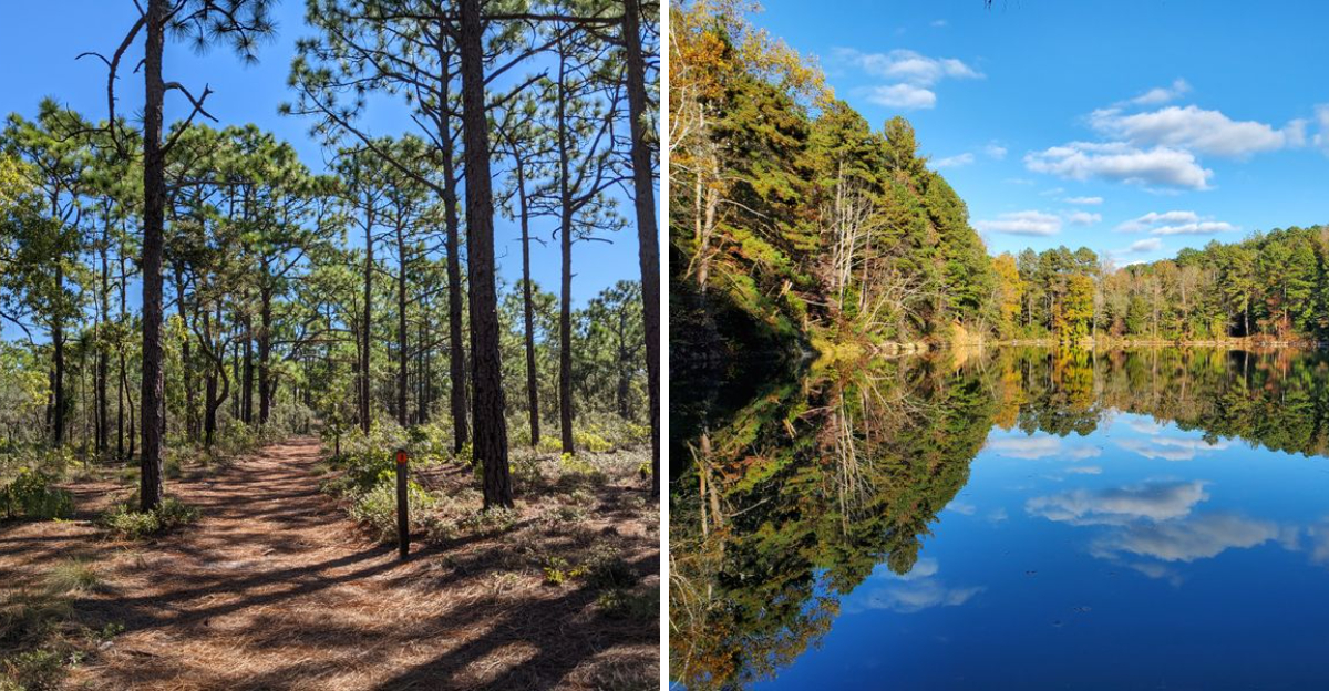 North Carolina's Best Hidden Hiking Trails Locals Rarely Share