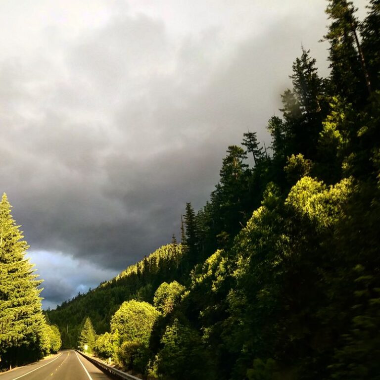 The Laid-Back Oregon Forest Town Where Foggy Mornings Define The Rhythm ...