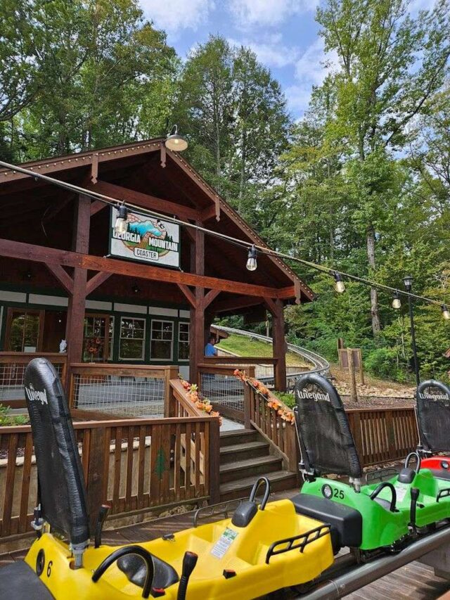 This Mountain Coaster In Georgia Is A Must-Try Ride For Thrill Lovers ...