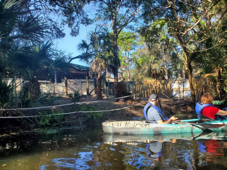 This One-Of-A-Kind Florida Zoo Lets You Kayak Through Giraffe And Zebra ...