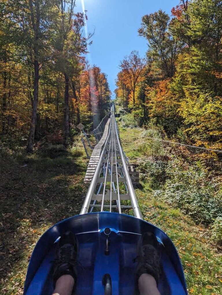 This Exhilarating Mountain Coaster In New York Will Bring Out The ...