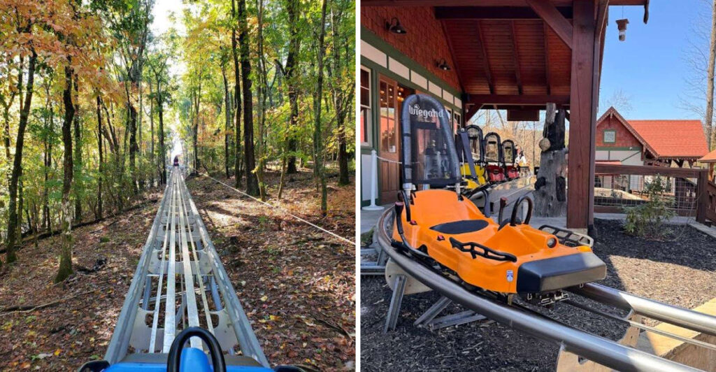 This Mountain Coaster In Georgia Is A Must-Try Ride For Thrill Lovers ...