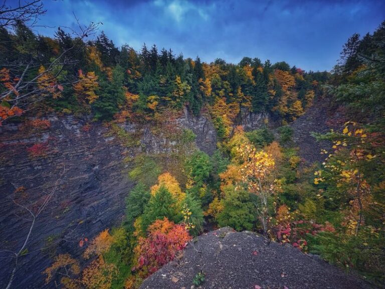 This Picturesque State Park In New York Is So Hidden, It's Almost Forgotten