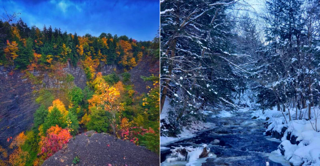 This Picturesque State Park In New York Is So Hidden, It's Almost Forgotten