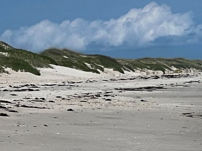 8 North Carolina Beaches That Preserve The Natural Beauty Of The ...