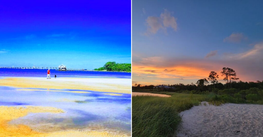 This 2.5-Mile Mississippi Trail Ends At A Magical Forest And A Quiet ...