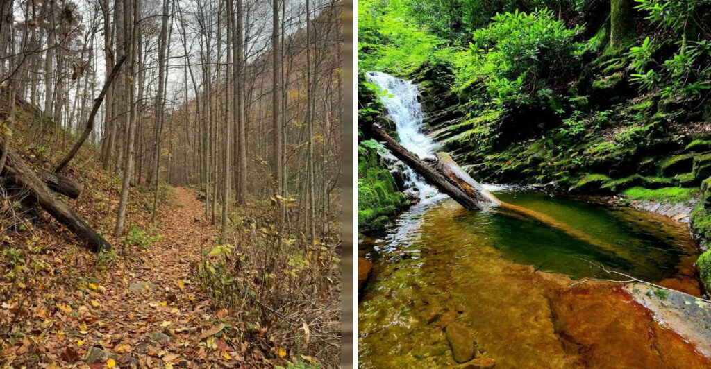 This 2.5-Mile Trail In Tennessee Deserves A Spot On Your 2026 Bucket List
