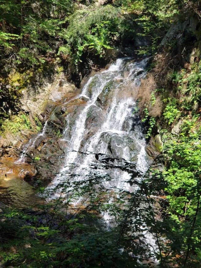This New Hampshire Trail Is Short Enough To Finish And Beautiful Enough ...